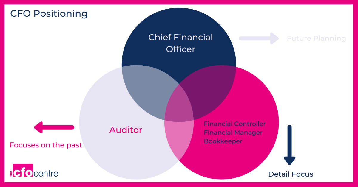 Beyond the Numbers - Role of Auditor,Finance Manager,CFO